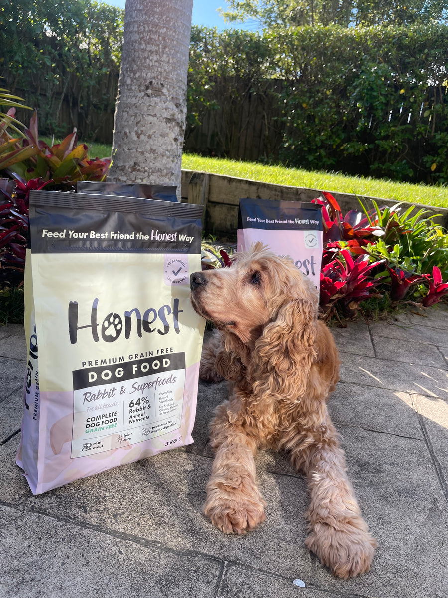 Honest Pet Collective | Our Story – Honest Pet Collective™